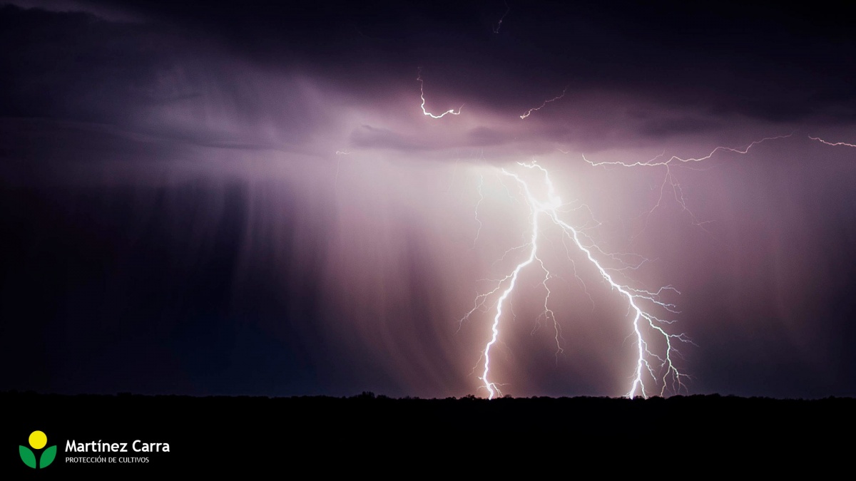 Daños en el viñedo por caída de rayos en Bergasa, La Rioja